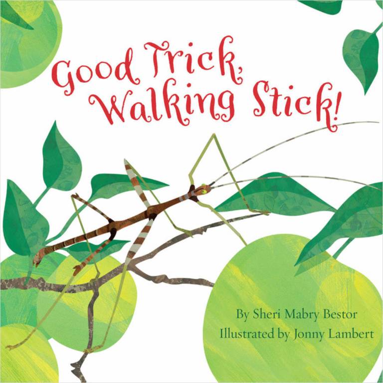 Sheri Mabry Bestor