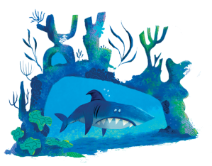 Shark Books for Kids