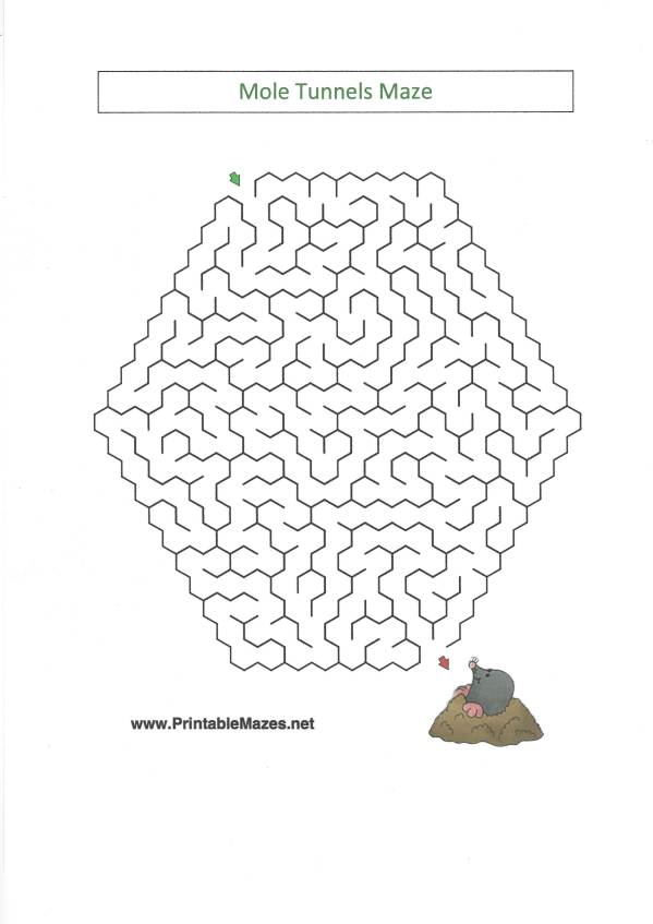 October 23 – Mole Day