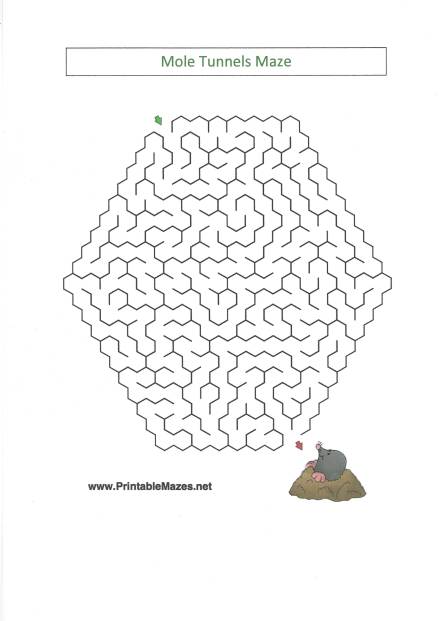 October 23 – Mole Day