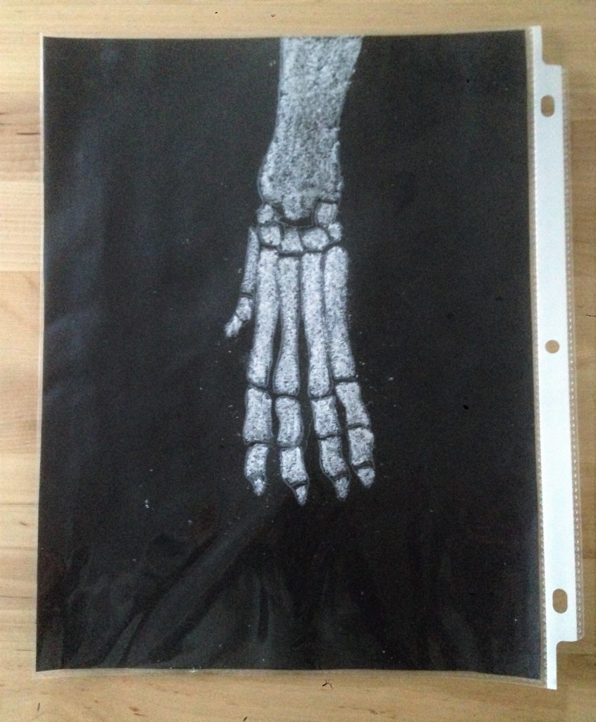 Interactive Picture Books about the Human Body