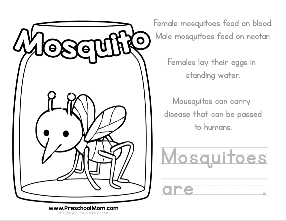 August 20 – World Mosquito Day