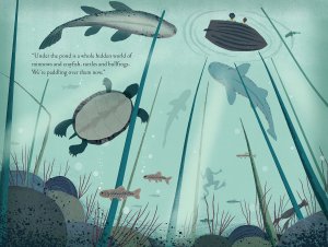 Over and Under the Pond