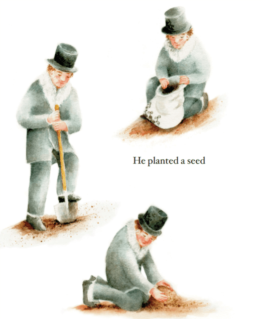 Seed Man