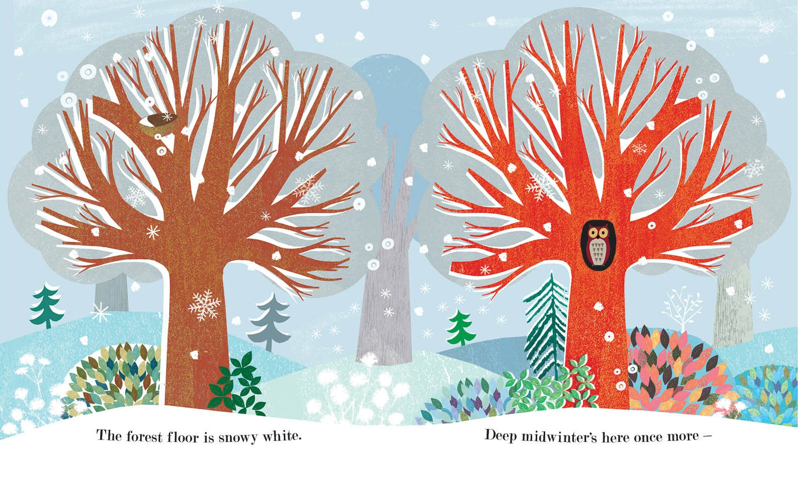 March 21 – International Day of Forests