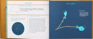Seeing Stars: A Complete Guide to the 88 Constellations