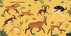 Extinct: An Illustrated Exploration of Animals That Have Disappeared