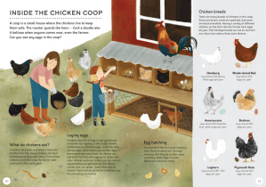 October 12 – National Farmers Day