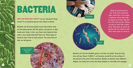 Germs Up Close Book Review