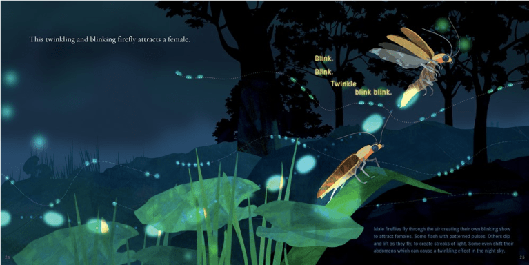 July 2 – World Firefly Day