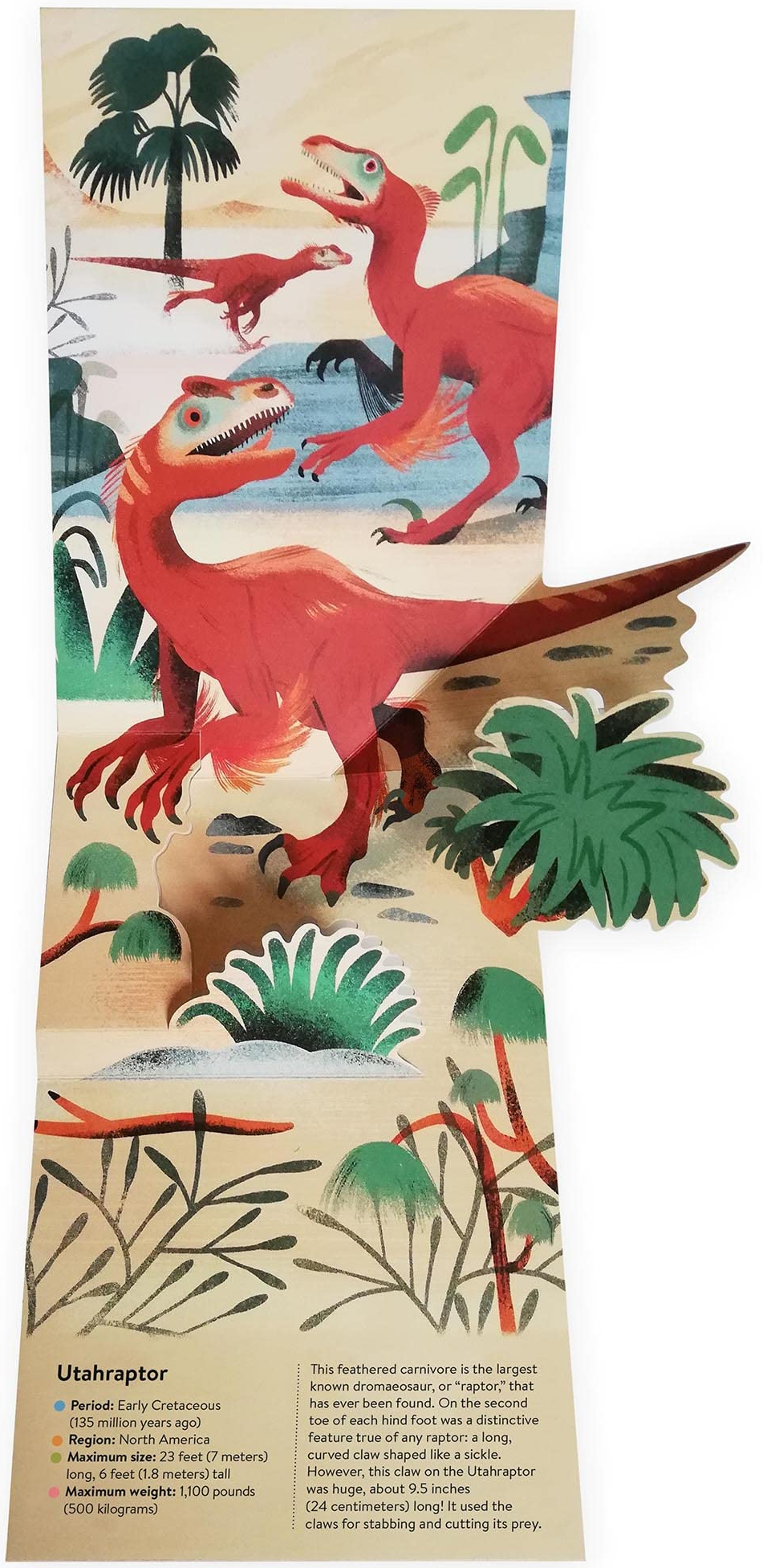 Dinosaurs and Other Prehistoric Animals Book Review