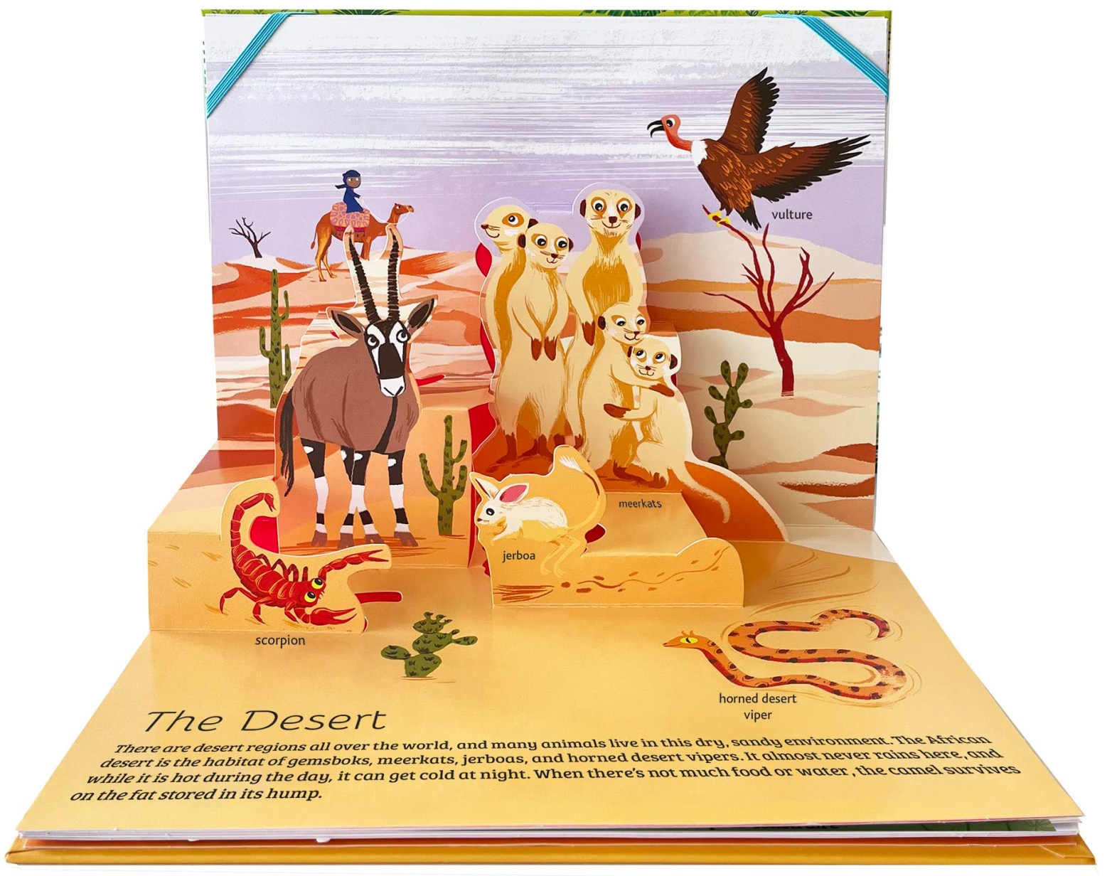 Dinosaurs and Other Prehistoric Animals Book Review