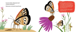 February 10 – National Poop Day