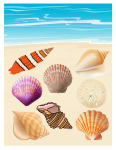 June 21 – National Seashell Day