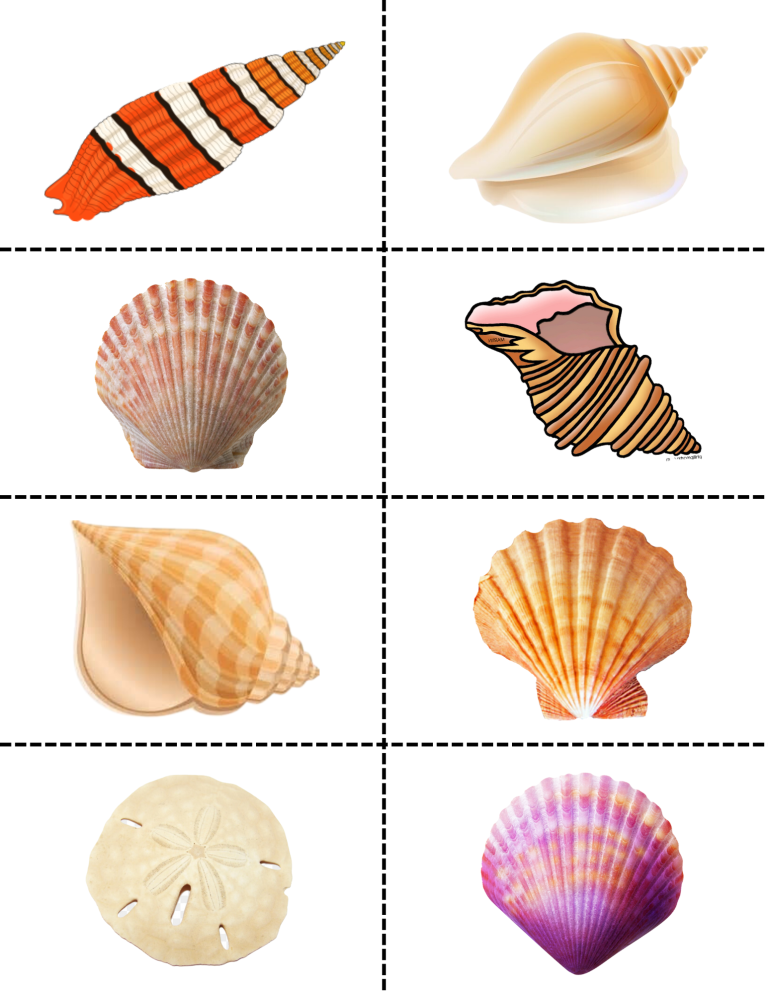 June 21 – National Seashell Day