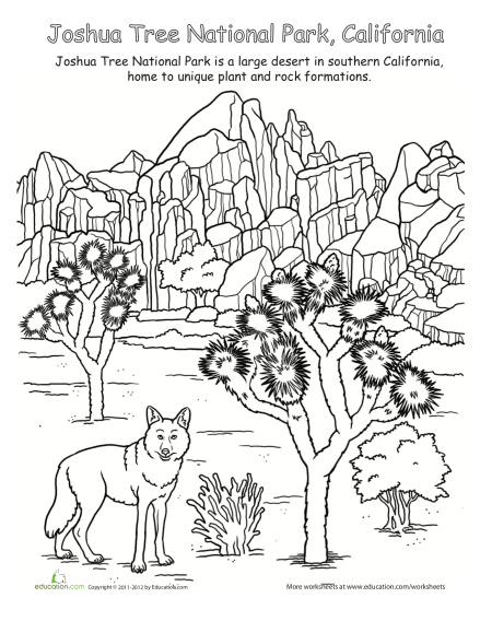 Enjoy this activity page by filling it with all the colors of the desert.