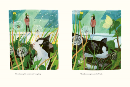 Picture Books about Cats