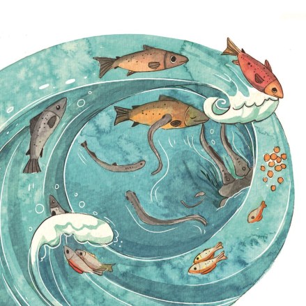 Illustration © 2025 by Anastasia Khmelevska, text © 2025 by Brook M ...