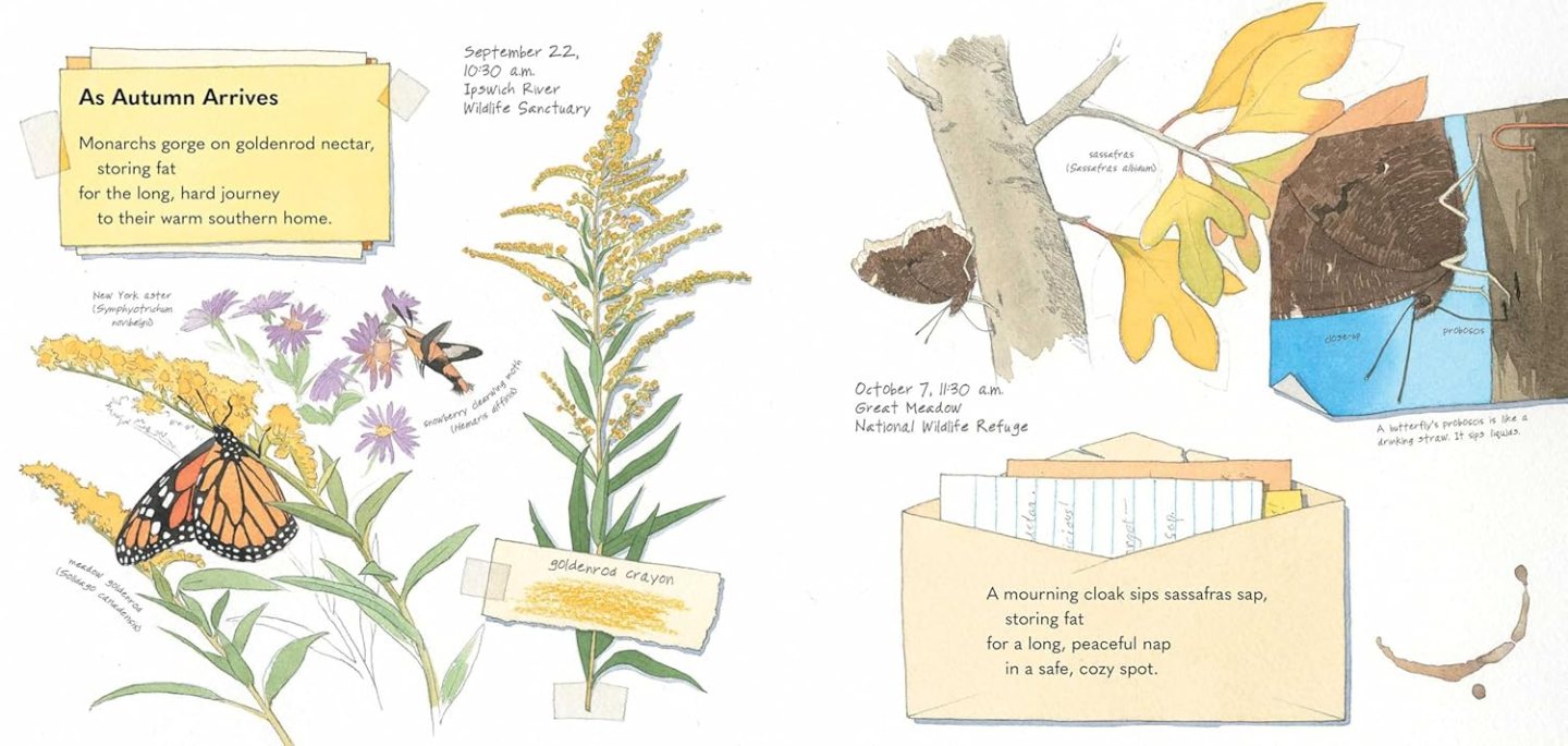 Picture Books about Mourning Cloak Butterflies