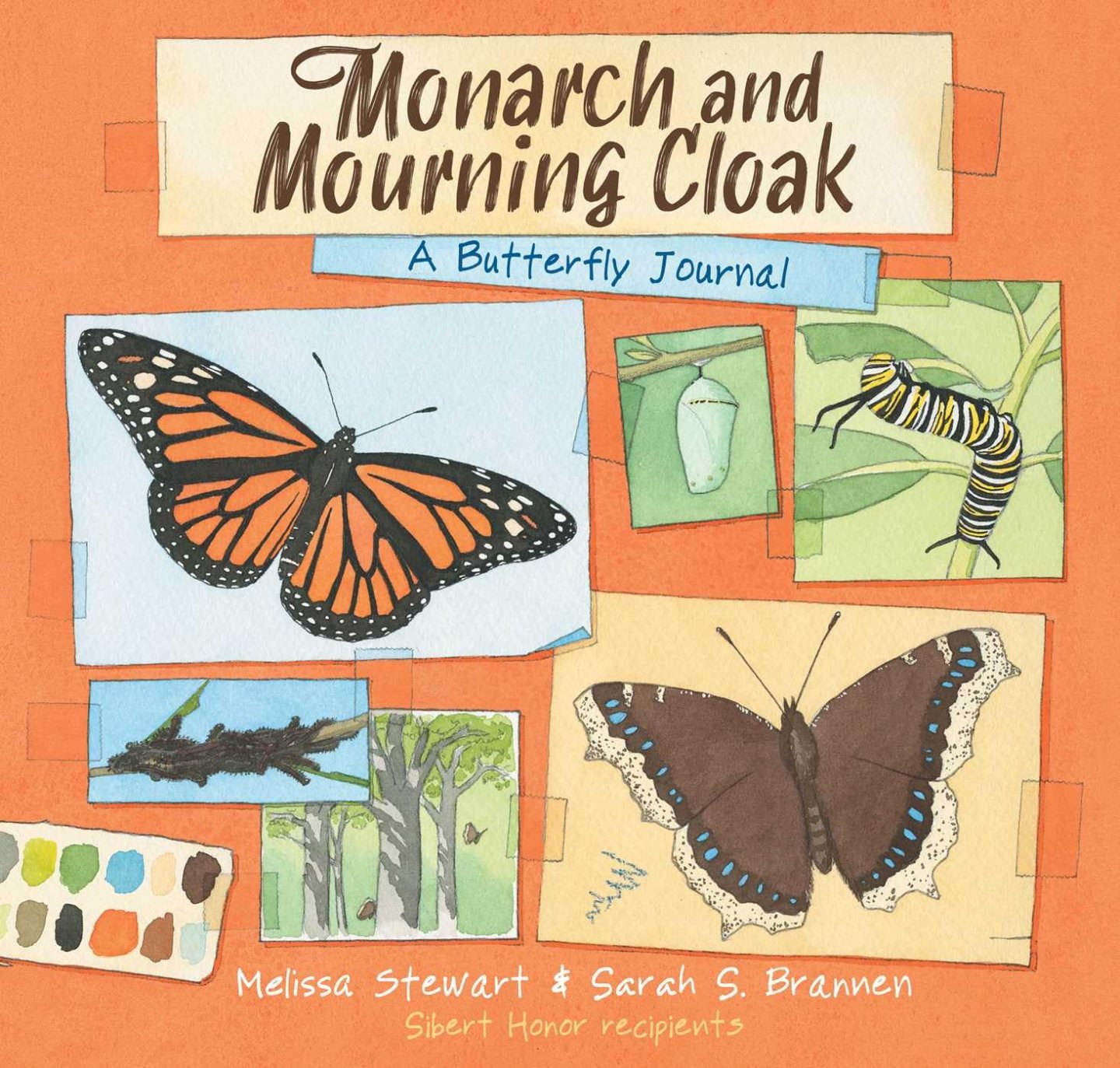 March 14 – National Learn about Butterflies Day